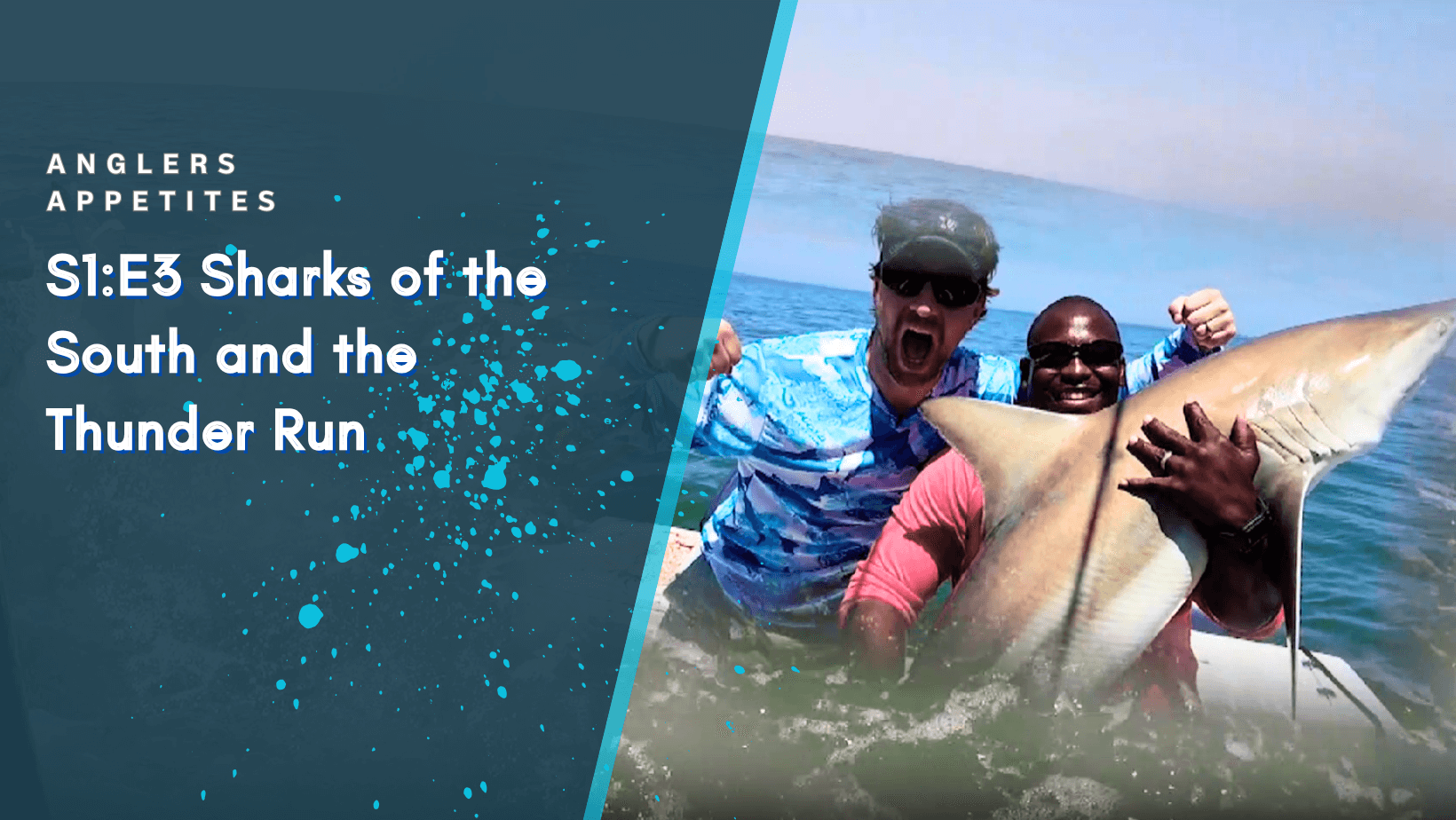 S1:E3 Sharks of the South and the Thunder Run - Jaro Media